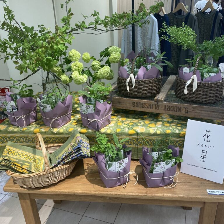 初夏のハーブとMaduテーブルウェア＠KEI Hayama PLUS浦和伊勢丹店 - KEI Hayama PLUS ｜ ケイハヤマプリュス